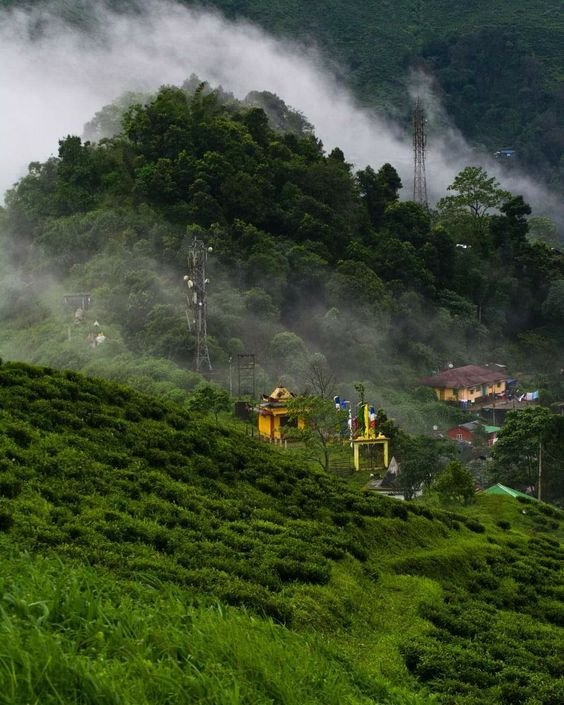 Places to Visit in Darjeeling and Gangtok