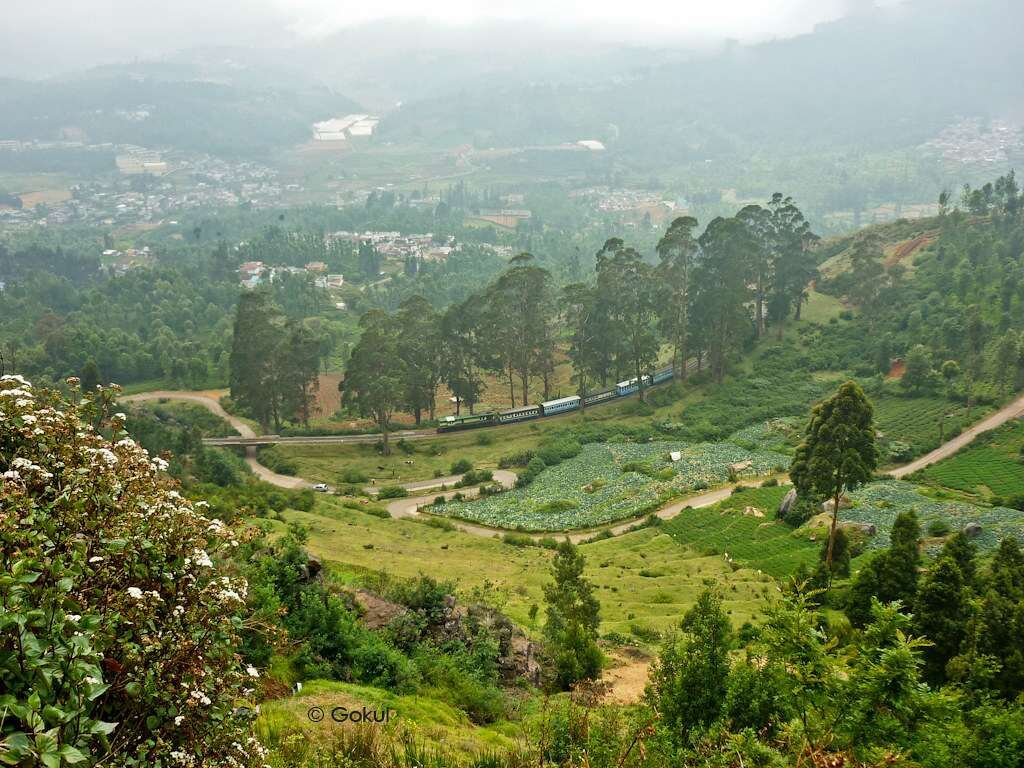 14 Tourist Places To Visit In Coonoor - Spruce Styles
